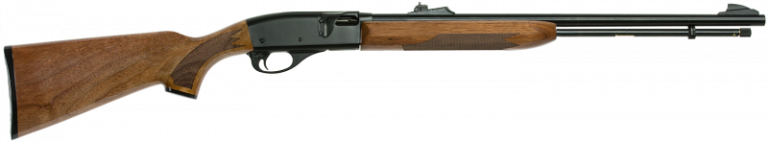 Rifles Calibre .22 (LR y Magnum), Remington, Marlin y S&W - CMRL.cl